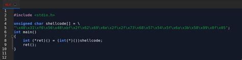 How Hackers Use Shellcode An Easy Guide 101
