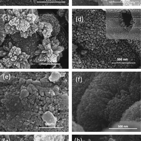 Pdf Hydrothermal Synthesis Of 3d Tio2 Nanostructures Using Nitric Acid Characterization And