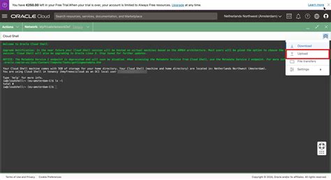 Access And Manage A Linux Compute Instance Using Oracle Cloud