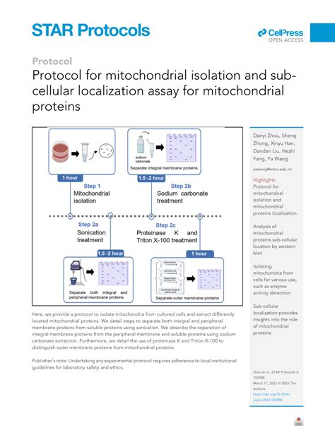 Pdf Protocol For Mitochondrial Isolation And Sub Cellular Localization Assay For Mitochondrial