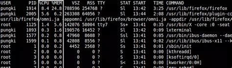linux下的进程分析 ps ps aux grep start sh返回结果是什么 csdn博客