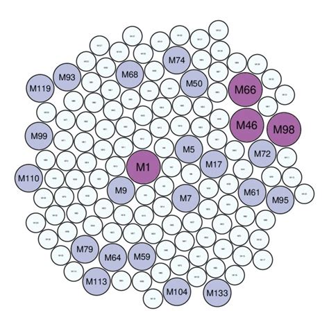 2 Model Selection Frequencies From The Sbmc Under An Aic Information
