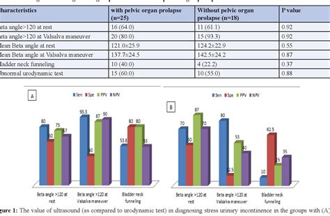 Figure 1 From The Value Of Transperineal Ultrasound As Compared To Urodynamic Test In Assessment