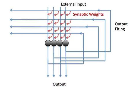 The Architecture Of Attractor Network Download Scientific Diagram