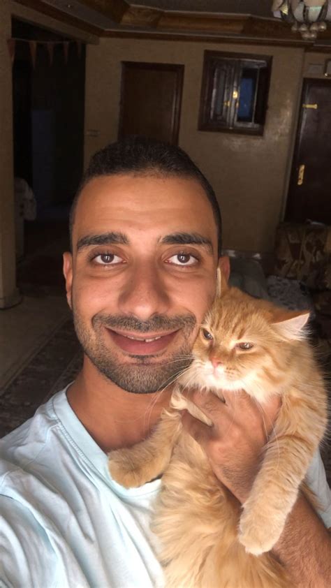 قطتك بتخاف منك لو بتعمل كدا القطط ومحبي القطط تربية القطط قطط قطط كيوت