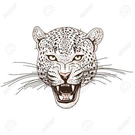 Vector Leopard Face Tattoo Vector Illustration Print Leopard Tattoos Leopard Face Vector Leopard Face Tattoo Vector Illustration Print Leopard Tattoos Leopard Face