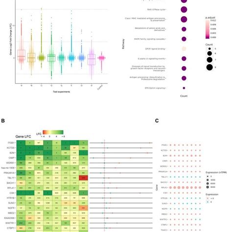 A Boxplot Representing The Lfc Distribution For Each Screen