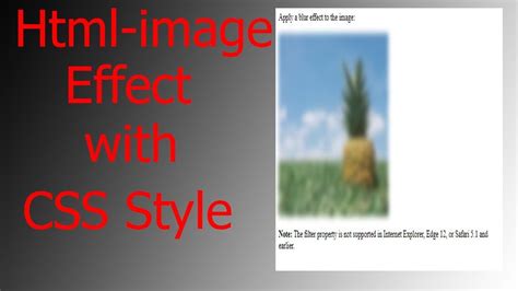 How To Create A Apply A Blur Effect To The Image Only Html And Css2021