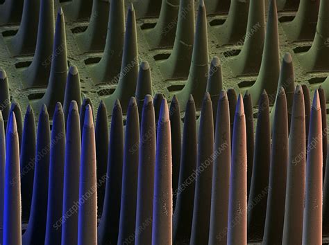 MEMS Neural Interface Chip SEM Stock Image C Science Photo Library