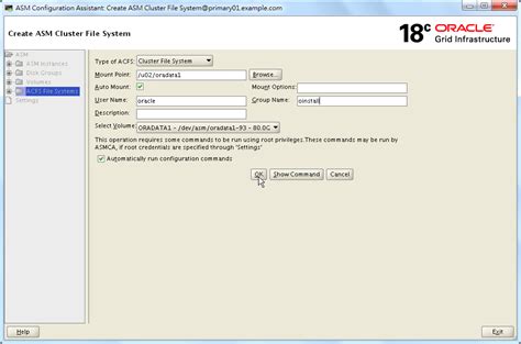 how to create acfs file system how to sop