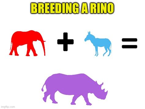 A Rino Wino Imgflip
