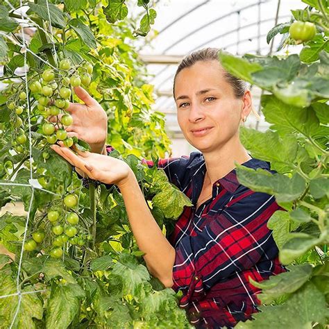 Купить Сетка для скалолазания в саду, тяжелая полиэстеровая сетка для ...