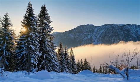 供应链投毒预警 恶意npm包内嵌木马程序开展投毒攻击 Cn Sec 中文网