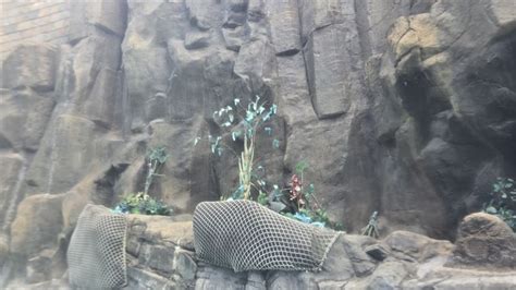 다가오는 여름 워터파크 시설 요금 만족하십니까 뉴스트리