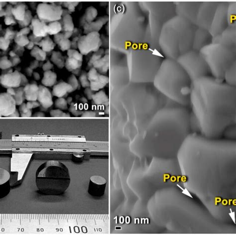 A Field Emission Scanning Electron Microscope Fe Sem Micrograph Of