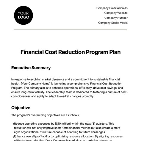 Financial Cost Reduction Program Plan Template Edit Online And Download Example