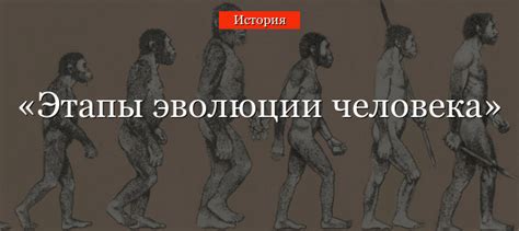 Этапы эволюции человека – основное в развитии