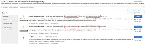 Amazon Web Services How Do I Find An Ami For Creating A Launch Configuration In Awss New