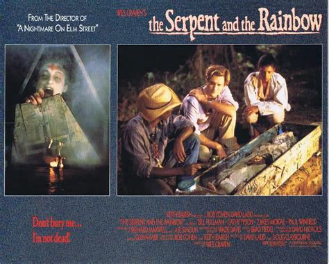 The Serpent And The Rainbow Original Lobby Card 3 Wes Craven Bill