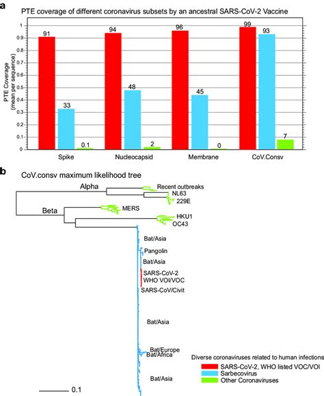 The Potential For Cross Reactivity Between T Cell Responses To Vaccines Download Scientific