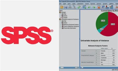 statistical analysis of data using spss program