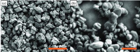 The SEM Of A Ba Sr TiO NPs And B BNNS Download Scientific Diagram