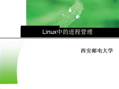 linux中的进程管理 （四）