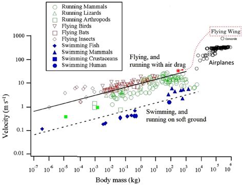 Aerospace Free Full Text Constructal Theory And Aeroelastic Design Of Flexible Flying Wing