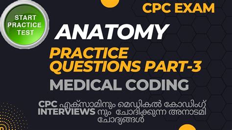 Anatomy Practice Questions Part 3medical Coding Youtube