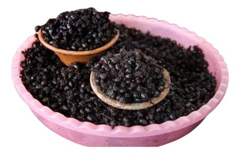 Chicatana Nucu 150gr Chiapas Envío Gratis Meses Sin Interés