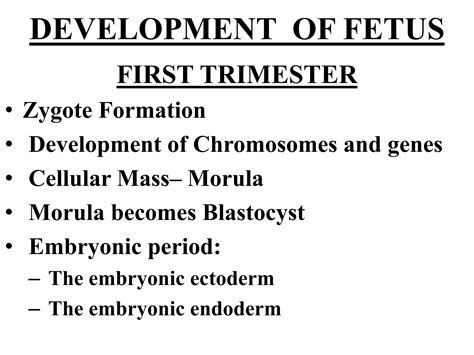 Development Of Placenta And Fetuspptx