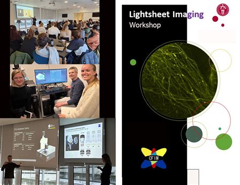 Danish Bioimaging On Linkedin Lecture Lightsheet Imaging Danishbioimaging Workshop