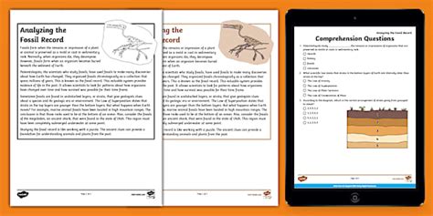 Analyzing The Fossil Record Answer Key Activity Twinkl Usa Analyzing The Fossil Record Answer Key Activity Twinkl Usa