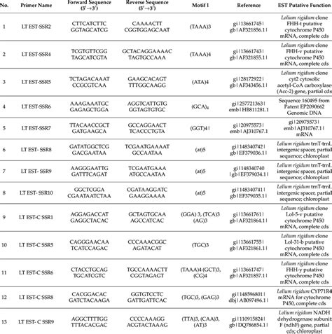 List Of Ssr Primers Used And Their Basic Features Download
