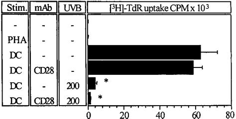 Uvbr Of Dc Abrogates The Strong Proliferative Response Of Allogeneic T Download Scientific