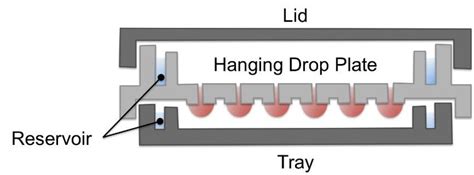 Schematic Representation Of The 3d Biomatrix System The 3d Biomatrix Download Scientific