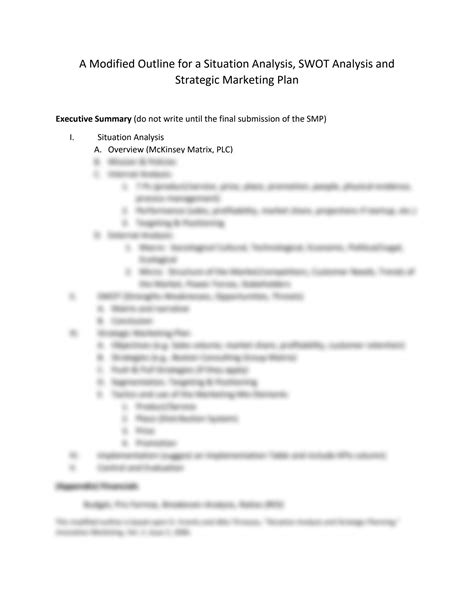 Solution Modified Outline Strategic Marketing Plan 3 Studypool