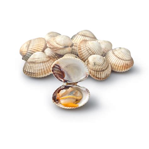 Cockles Premier Seafarmers By Nature