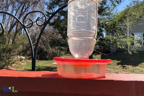 Diy Hummingbird Feeder Stand Guideline