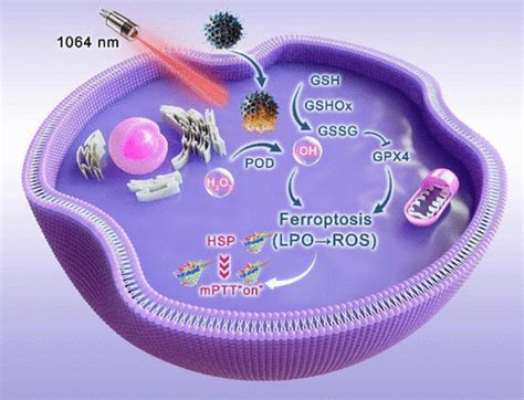 Low Temperature Photothermal Therapy Platform Based On Pd Nanozyme Modified Hydrogenated Tio2