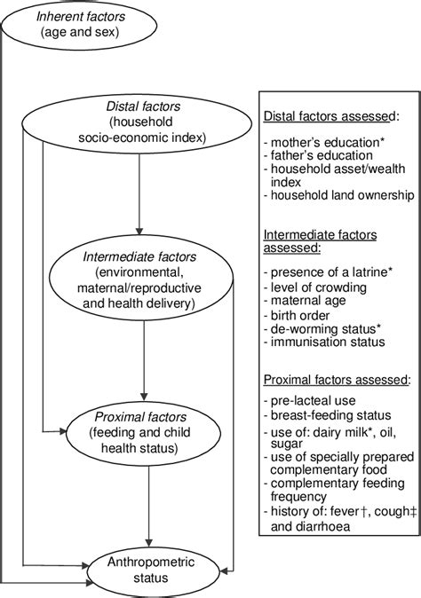 Conceptual Hierarchical Framework Of Potential Determinants For Poor