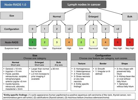 Europeanradiology Noderads European Radiology