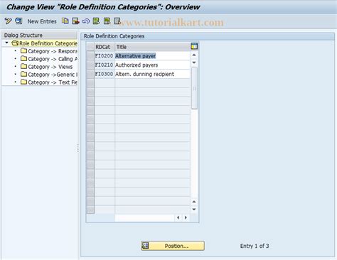 BUBB SAP Tcode BuPR Role Definition Category