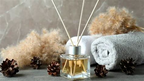 Are Reed Diffusers Safe A Comprehensive Guide