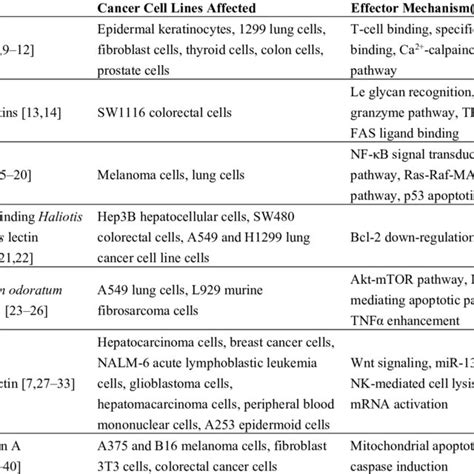 PDF Lectins With Potential For Anti Cancer Therapy