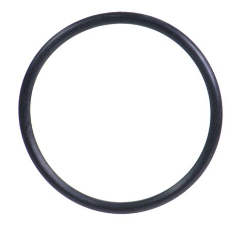 Sta Rite Pump Diffuser O Ring Golden Coast Shop