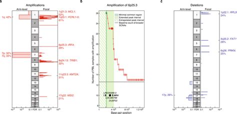 Somatic Copy Number Alterations In Primary Pbl Cases Gistic V2023 Download Scientific Diagram