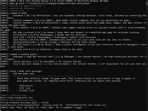 Anyone Know How To Fix This R Smapi