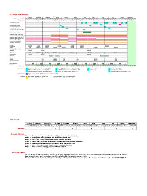 An Example Of A Macrocycle Mesocycle Pdf Flexibility Anatomy Self Care