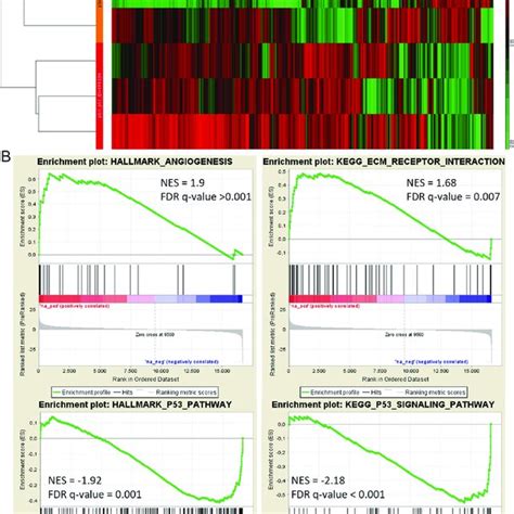 Gene Expression Profiling Of Ips11 Tp53r175h Model Systems Global Gene Download Scientific